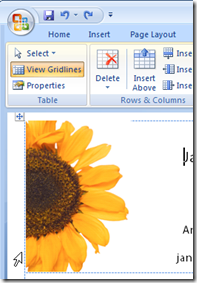 Helen Bradley - MS Office Tips, Tricks and Tutorials